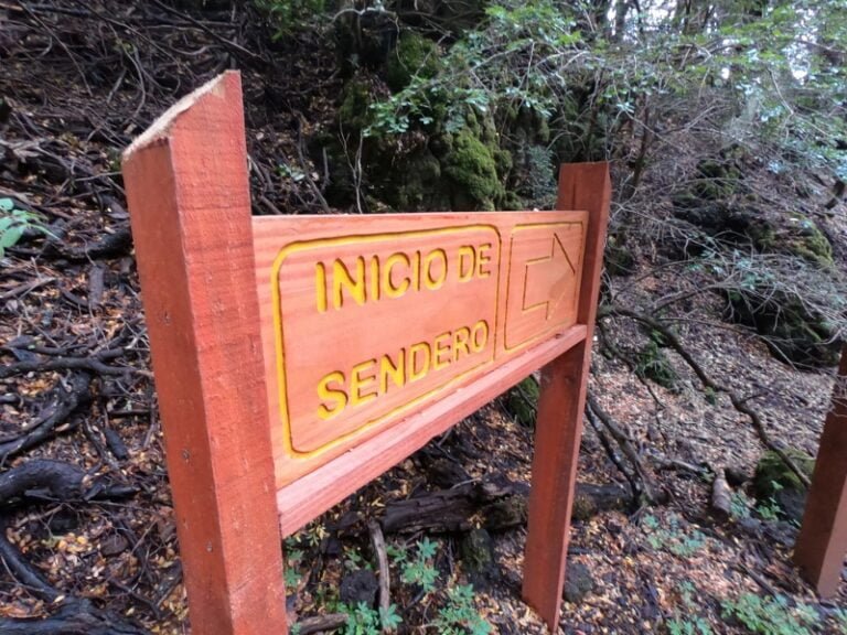 Parque Nacional Conguillio ⭐ Qué ver, ubicación y alojamiento